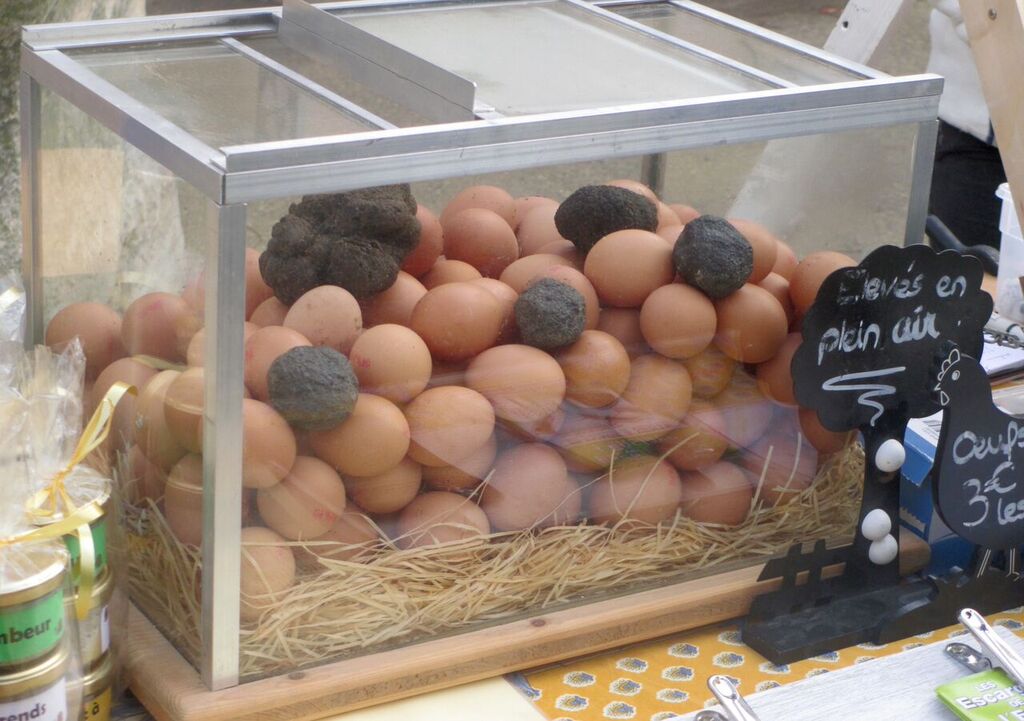 Truffles in Provence - a truffle tour is an extraordinary experience